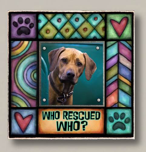 Who rescued who? Frame – SHAPIRO'S Gallery